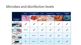 Spauldings classification ppt by Dr C P PRINCE | PPTX
