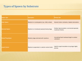 SPAWNS---MICROBIOLOGY----TYPES--MASTER CULTURE.pptx