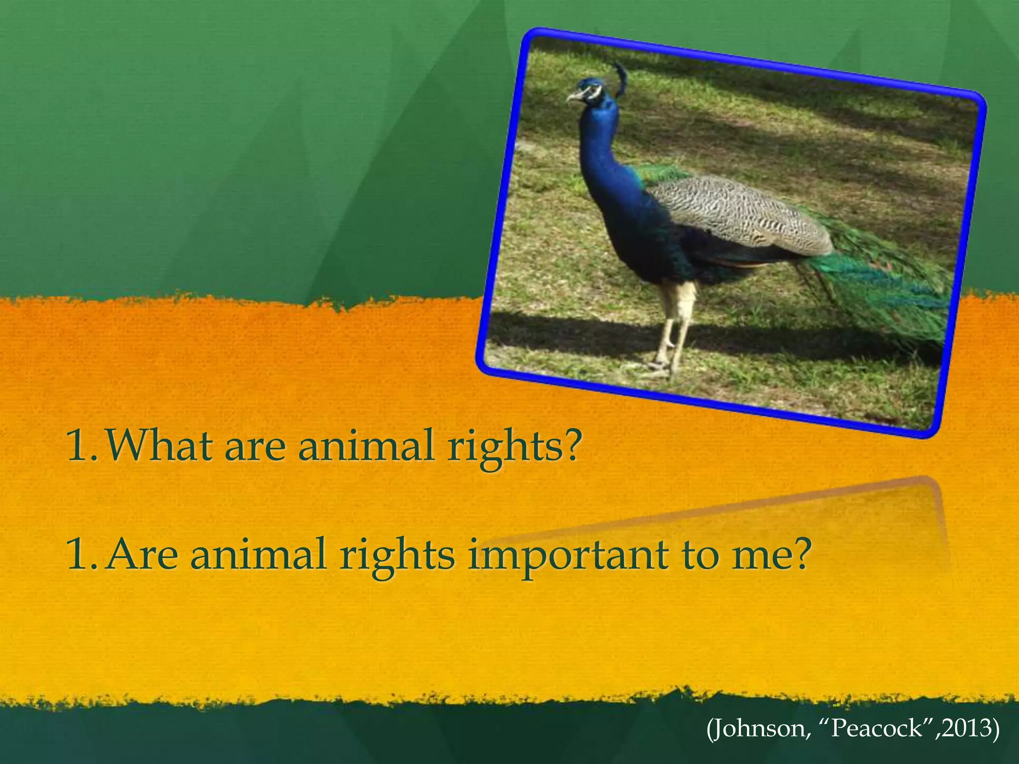 Spc2023 animal rights informative speech presentation | PPTX