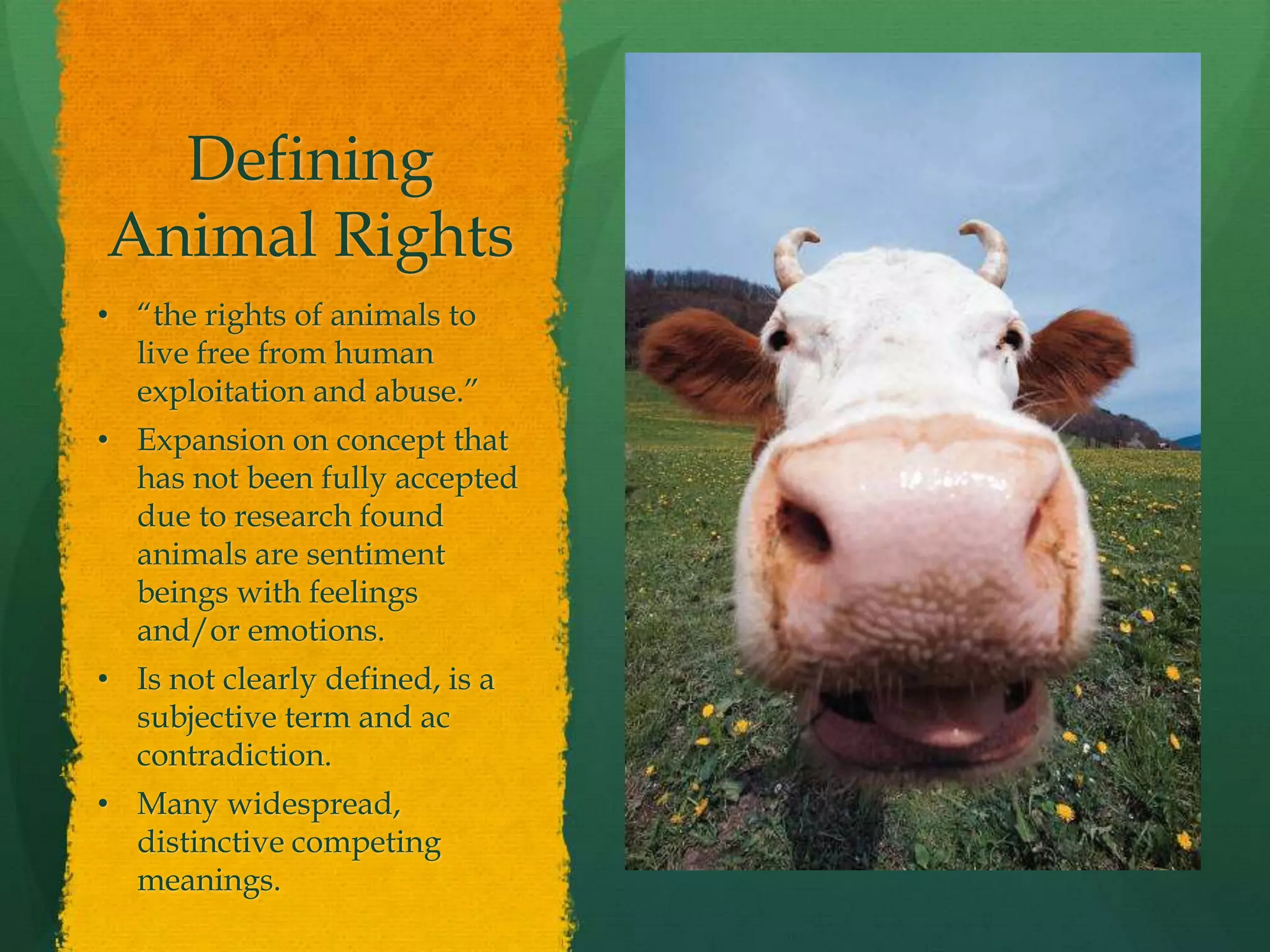 Spc2023 animal rights informative speech presentation | PPTX