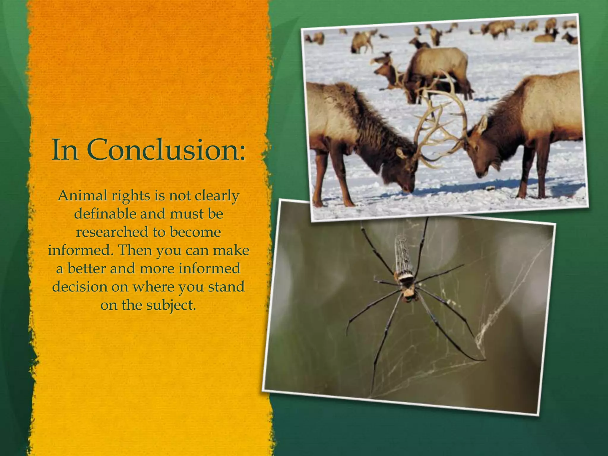 Spc2023 animal rights informative speech presentation | PPTX