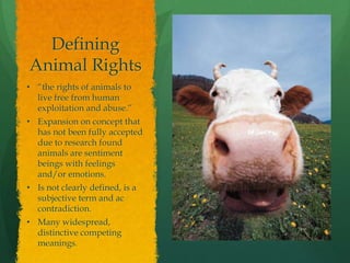 Spc2023 animal rights informative speech presentation | PPTX