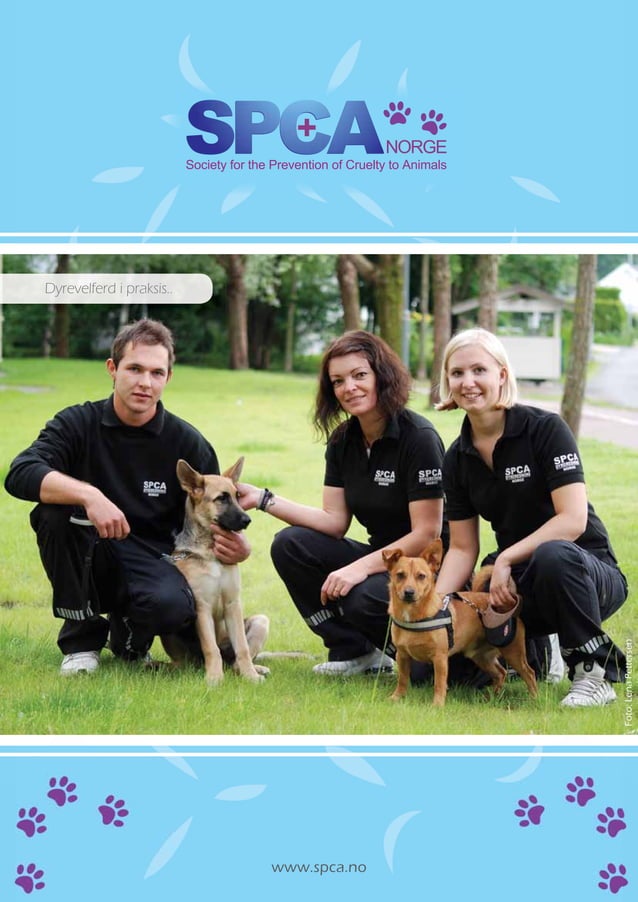 SPCA Norge, nasjonal brosjyre 2011 | PDF
