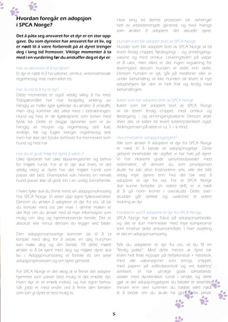 SPCA Norge, nasjonal brosjyre 2011 | PDF | Free Download