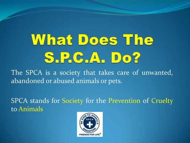 SPCA project 2CO | PPTX