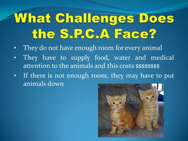 SPCA project 2CO | PPTX