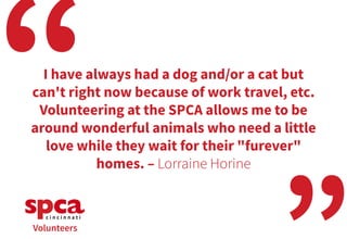 SPCA Volunteer Quotes | PDF