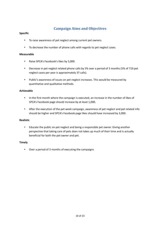 Spca team consultancy report | PDF
