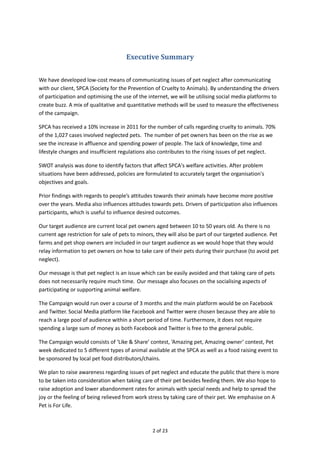 Spca team consultancy report | PDF