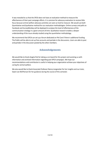 Spca team consultancy report | PDF