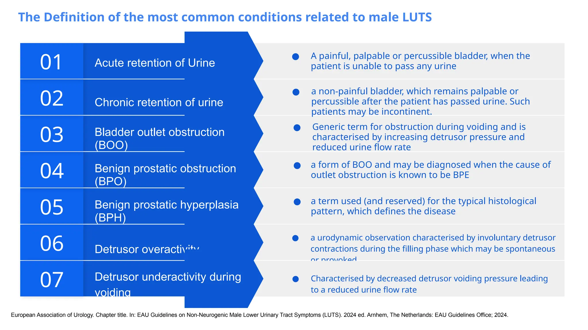 Benign prostatic hyperplasia basics.pptx