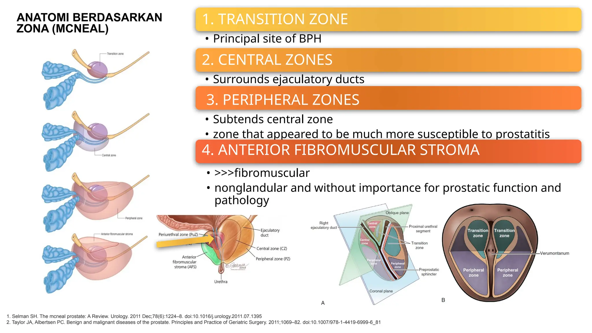 Benign prostatic hyperplasia basics.pptx