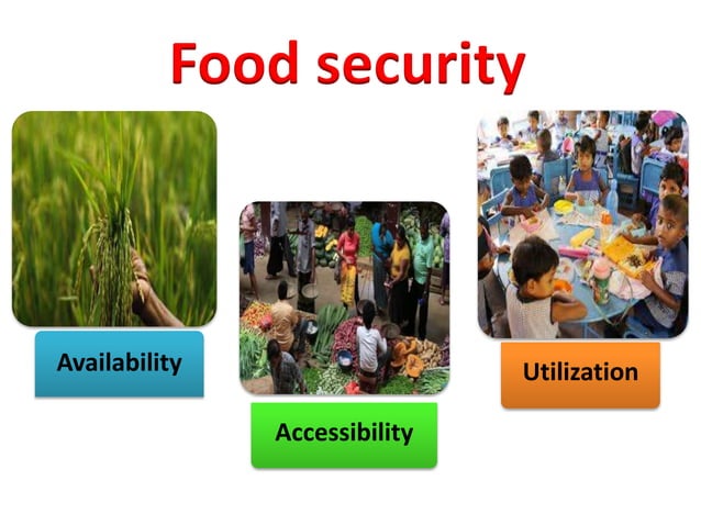Spc for a food secured sri lanka (pecha kucha ppt) | PPT