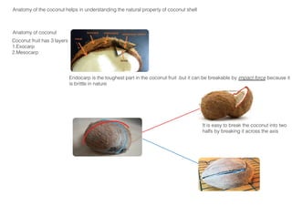 coconut shell breaker | PPT