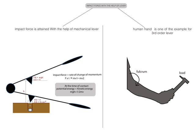 coconut shell breaker | PPT