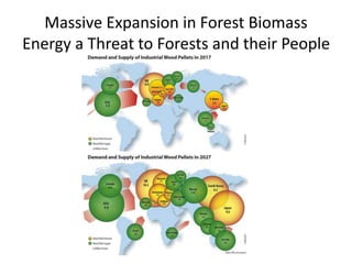 Massive Expansion in Forest Biomass Energy a Threat to Forests and ...