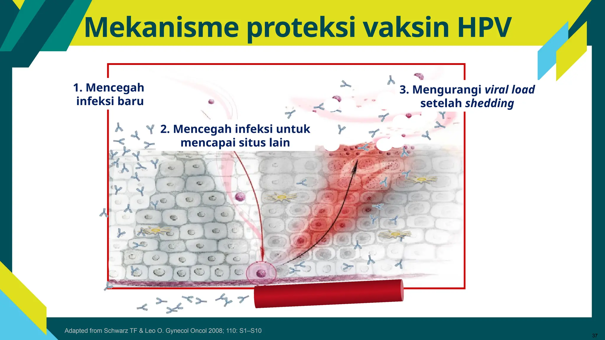 Speaker Slide dr Romzy - RS Sadewa 31 Aug 2024.pptx