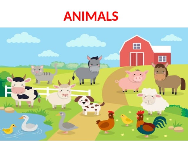 SPEAKING - ANIMALS.pptx for IELTS candidates | PPT
