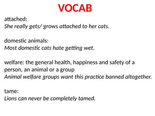 SPEAKING - ANIMALS.pptx for IELTS candidates | PPTX