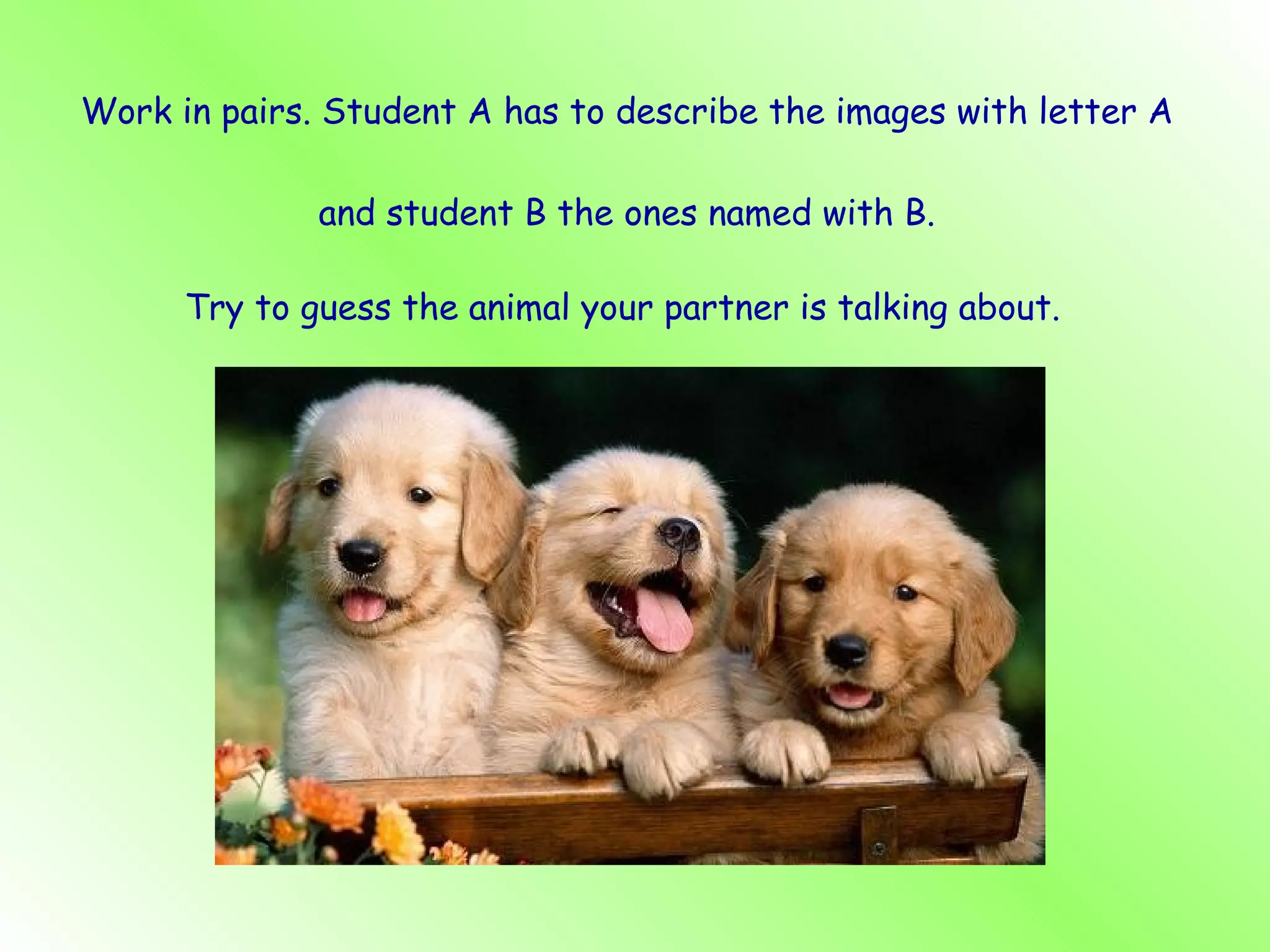 Speaking Animals | PPT