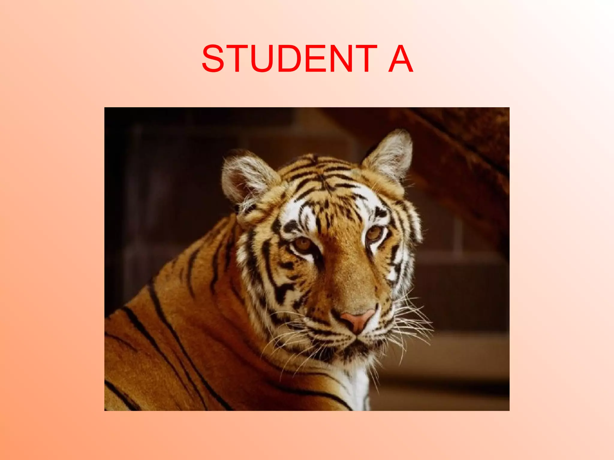 Speaking Animals | PPT