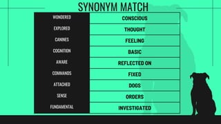 speaking class about dogs - aula de conversação | PPT