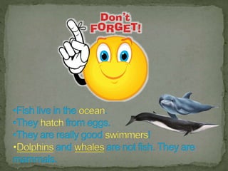 Animal Groups | PPTX