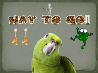 Animal Groups | PPTX