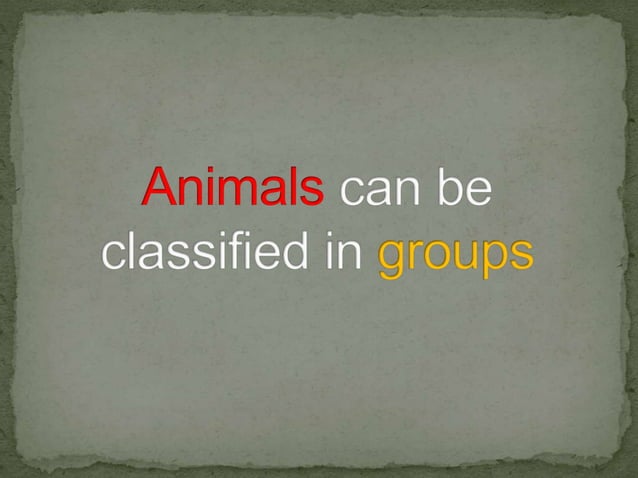 Animal Groups | PPTX