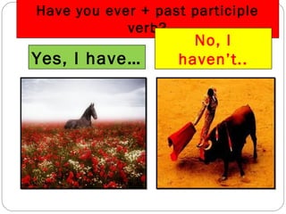 Speaking esl have - has | PPT