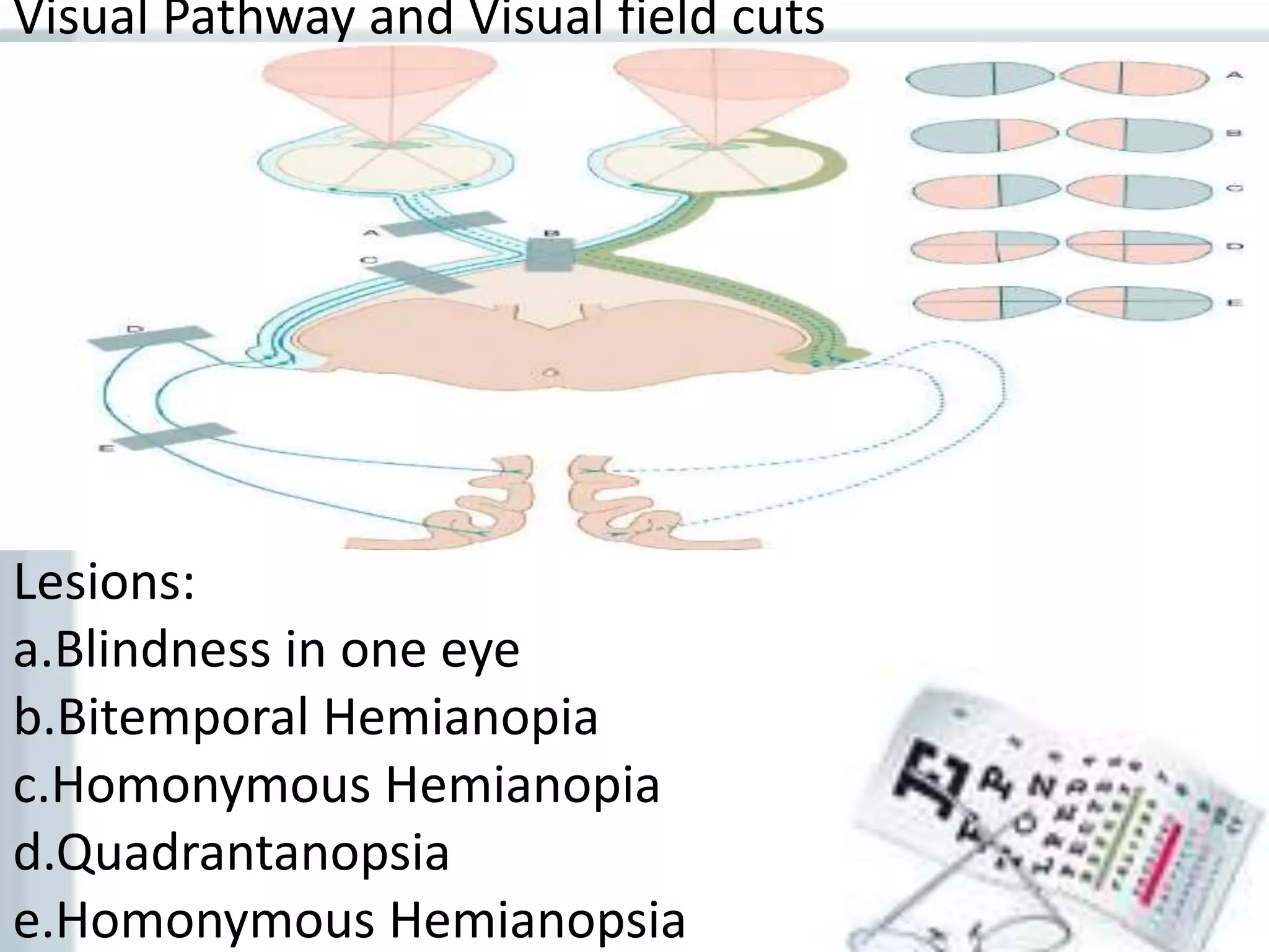 Specail senses ana. physio | PPTX