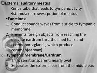 Specail senses ana. physio | PPT