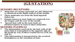 Special senses anatomy learning about the anatomy | PPTX