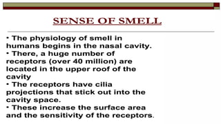 Special senses anatomy learning about the anatomy | PPTX