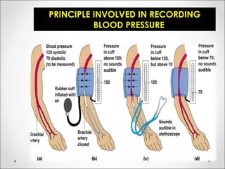 Blood Pressure Sounds