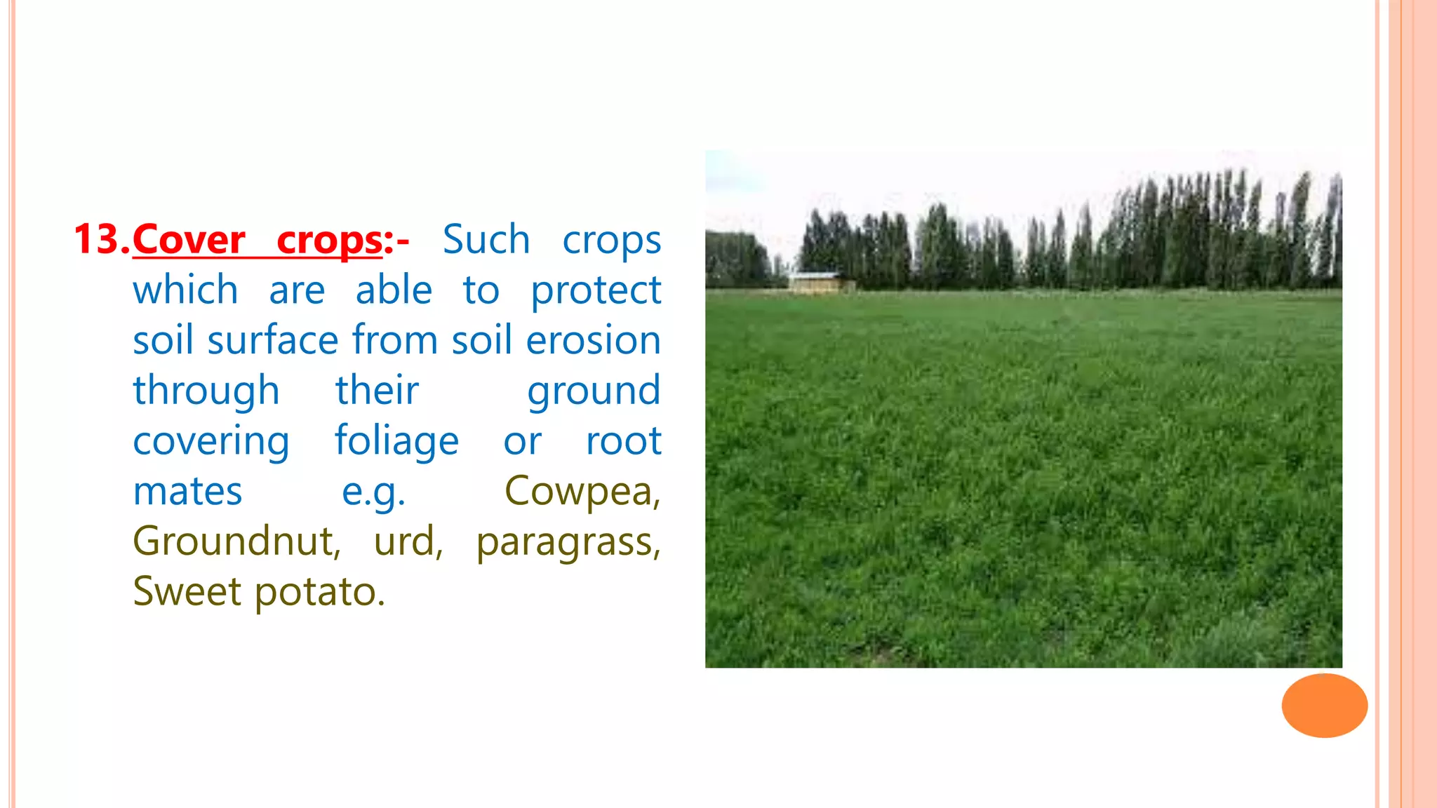 Special Classification of Crops | PPTX