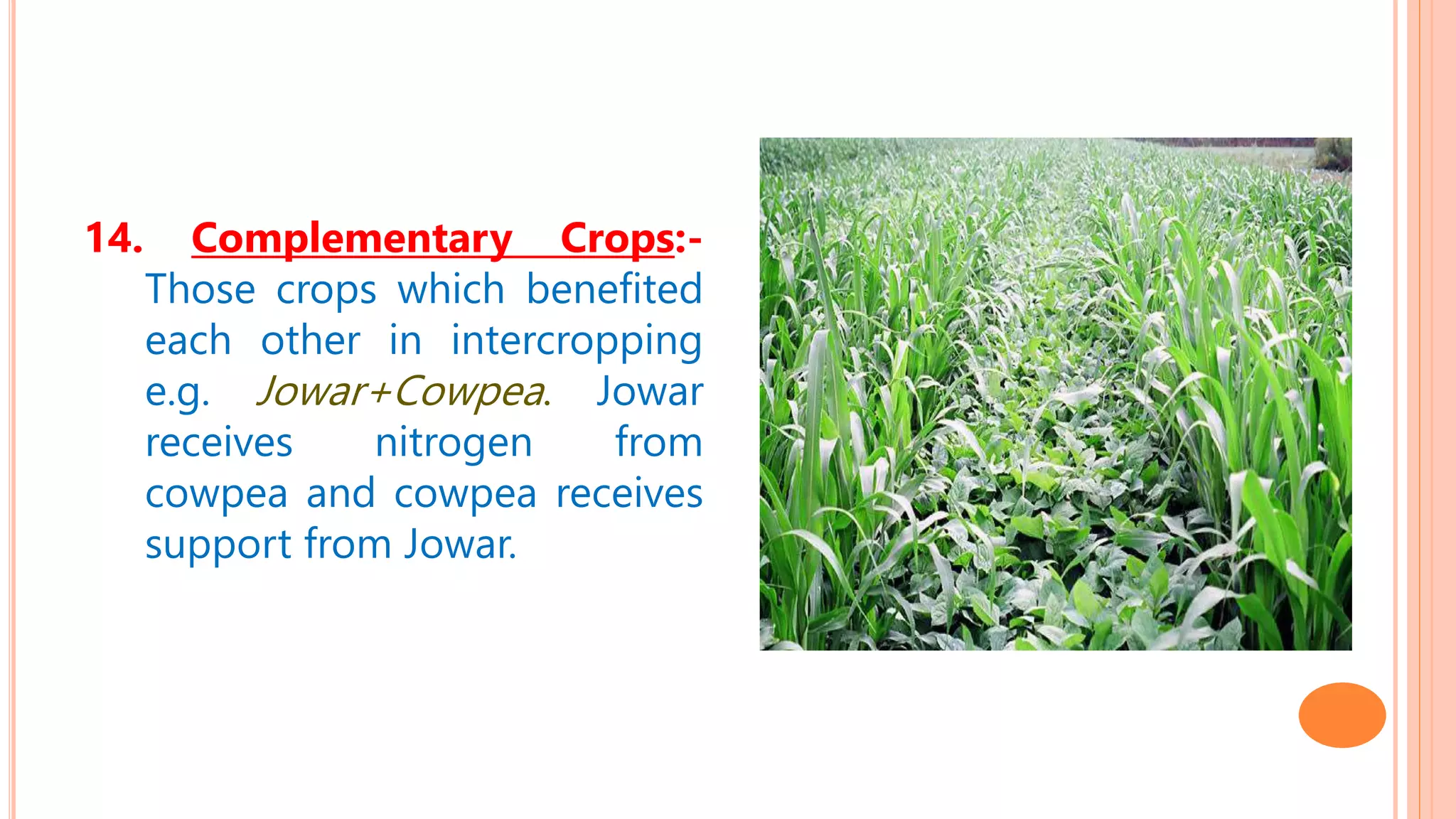 Special Classification of Crops | PPTX