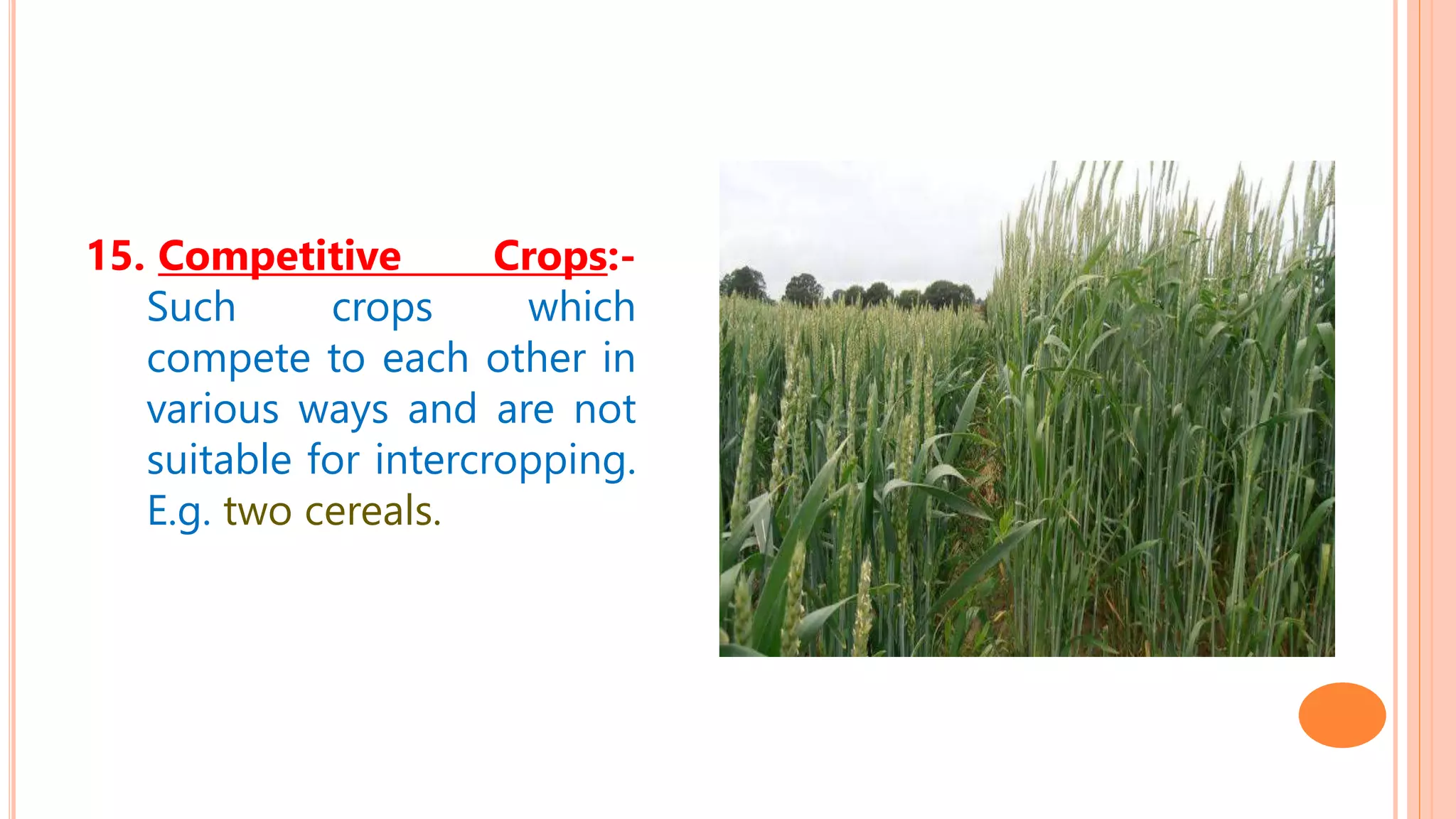 Special Classification of Crops | PPTX
