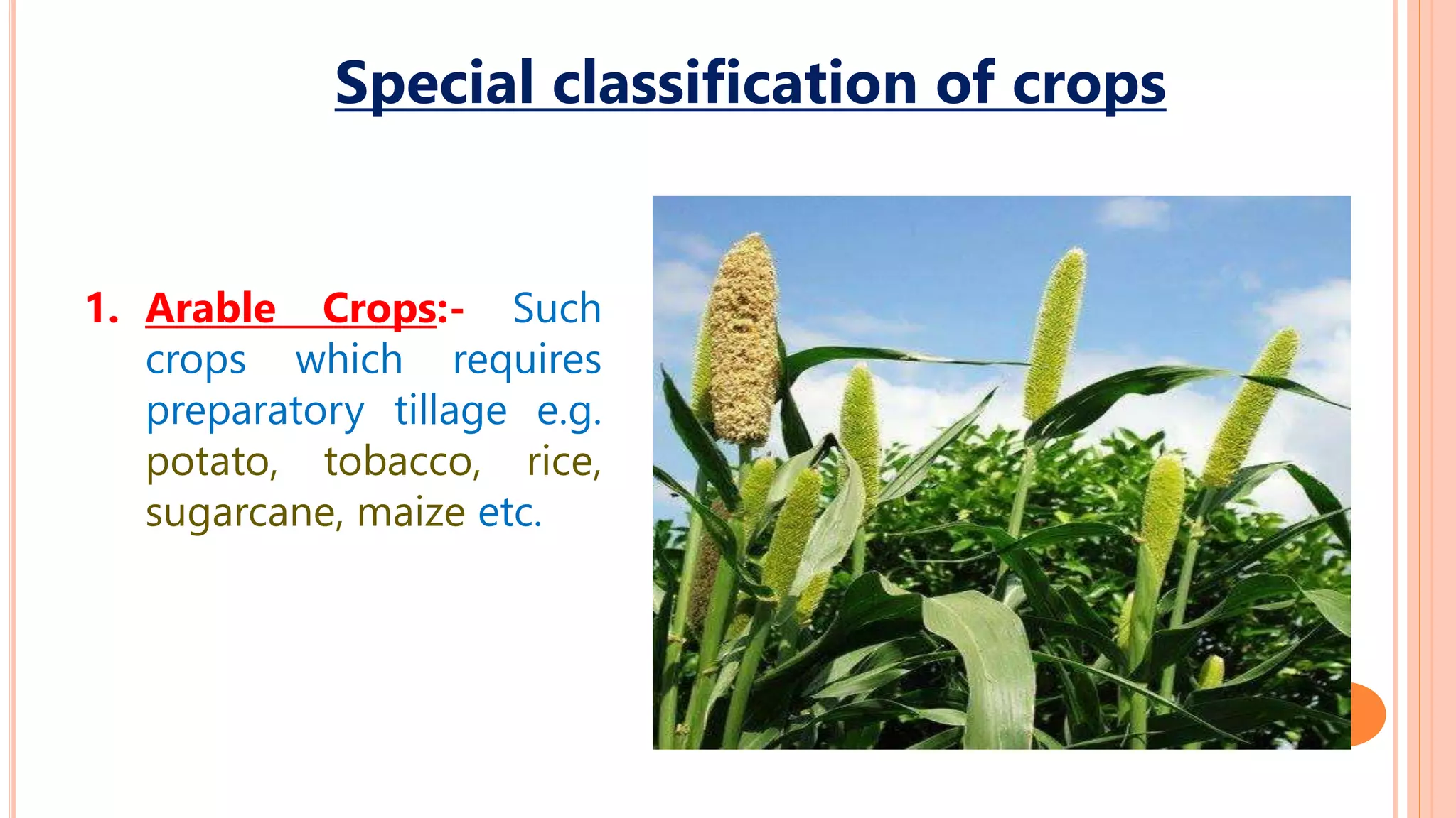 Special Classification of Crops | PPTX