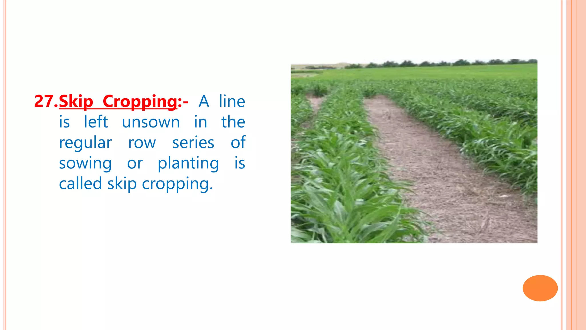 Special Classification of Crops | PPTX