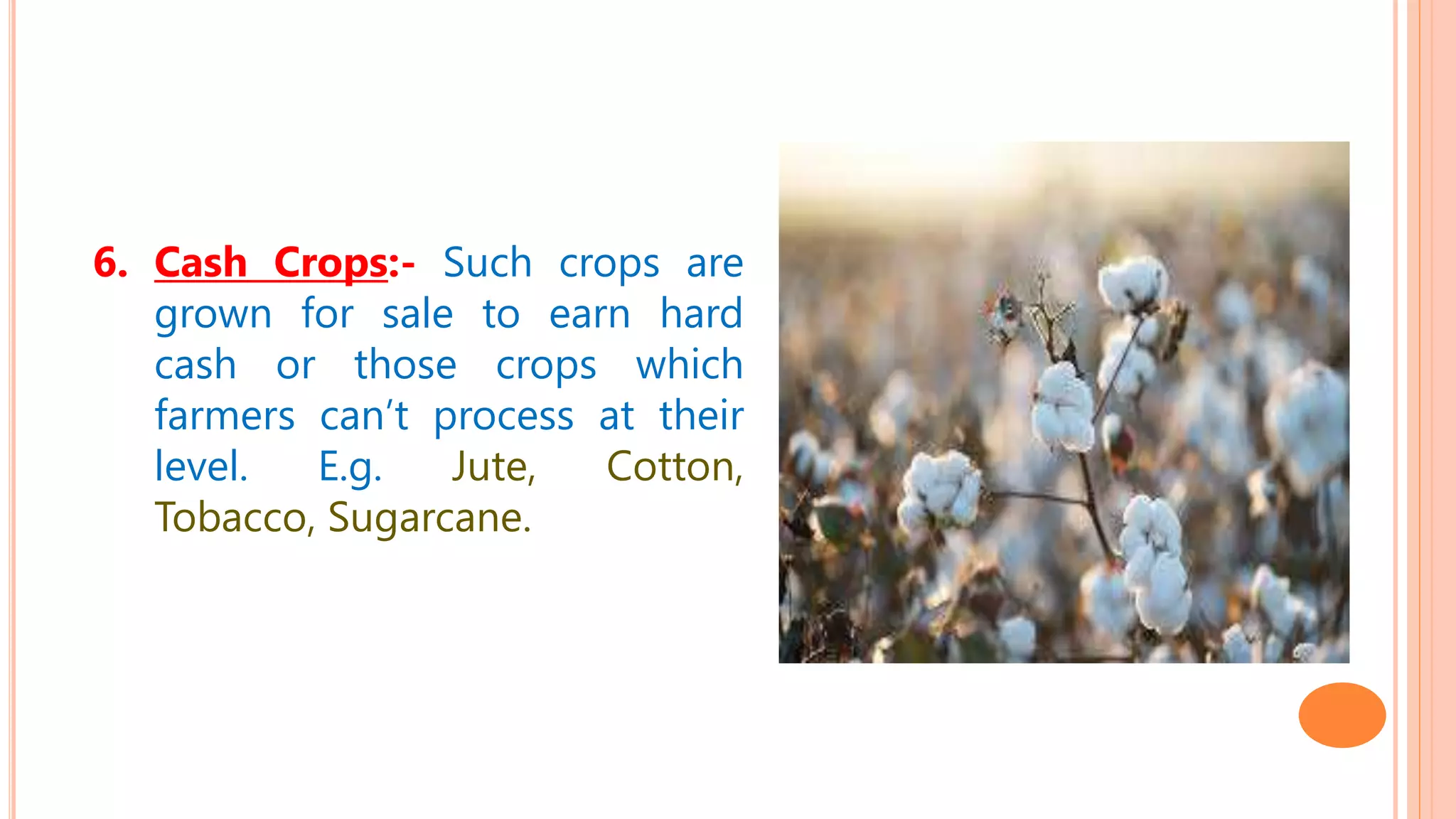 Special Classification of Crops | PPTX