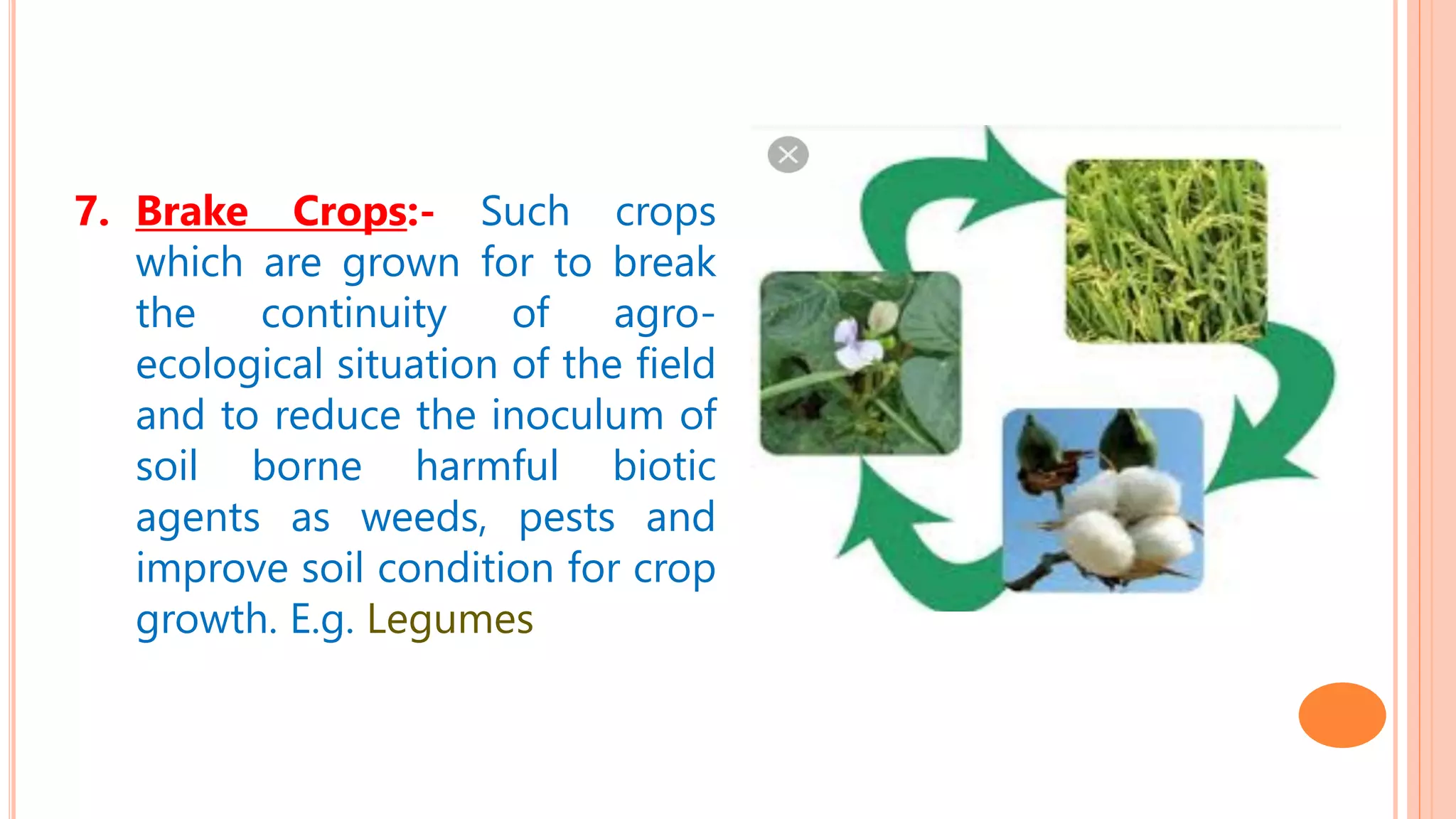 Special Classification of Crops | PPTX