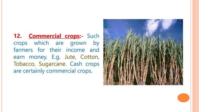 Special Classification of Crops | PPT