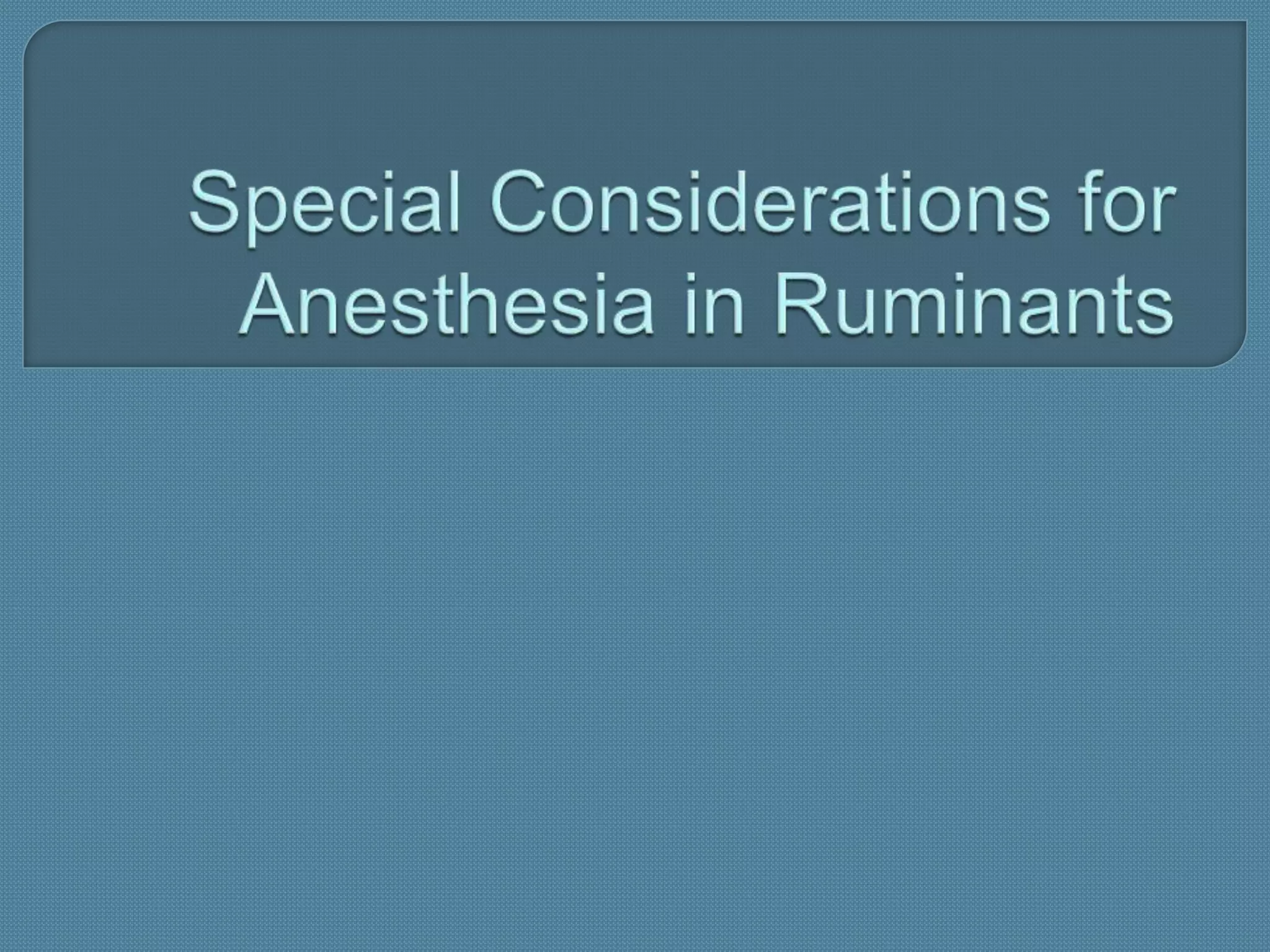 Special Considerations For Anesthesia In Ruminants | PPTX