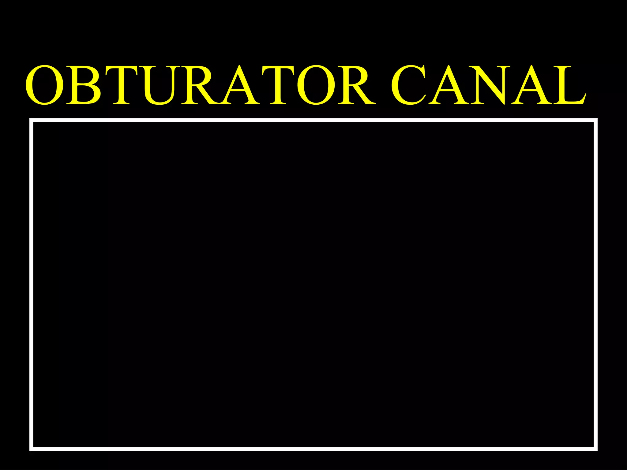 Special Considerations: Obturator, Femoral and Scrotal Hernias | PPT