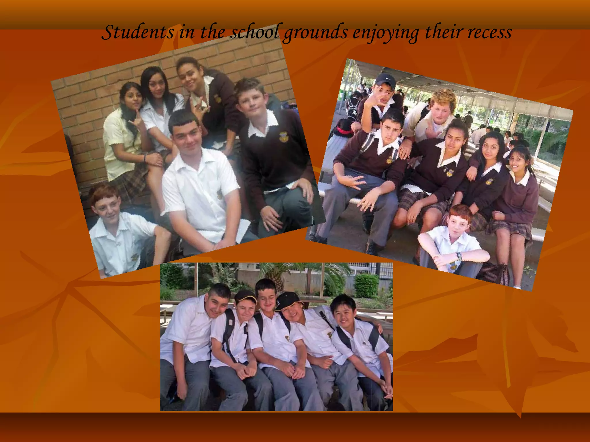 Fairvale High Special Ed | PPS