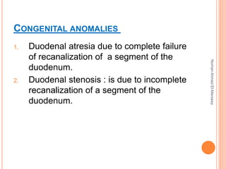 Special embryology | PPT