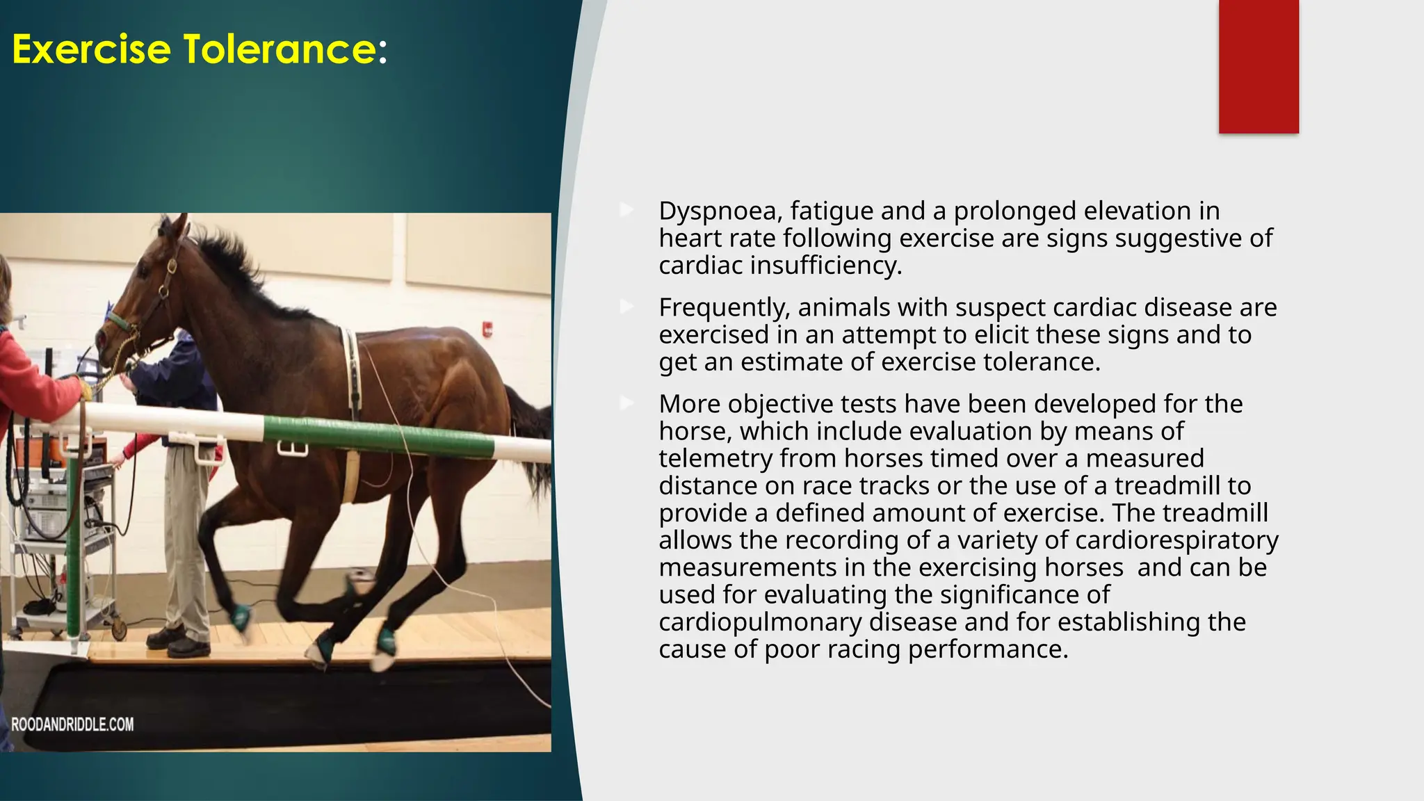 Special Examination of cardiovascular system.pptx