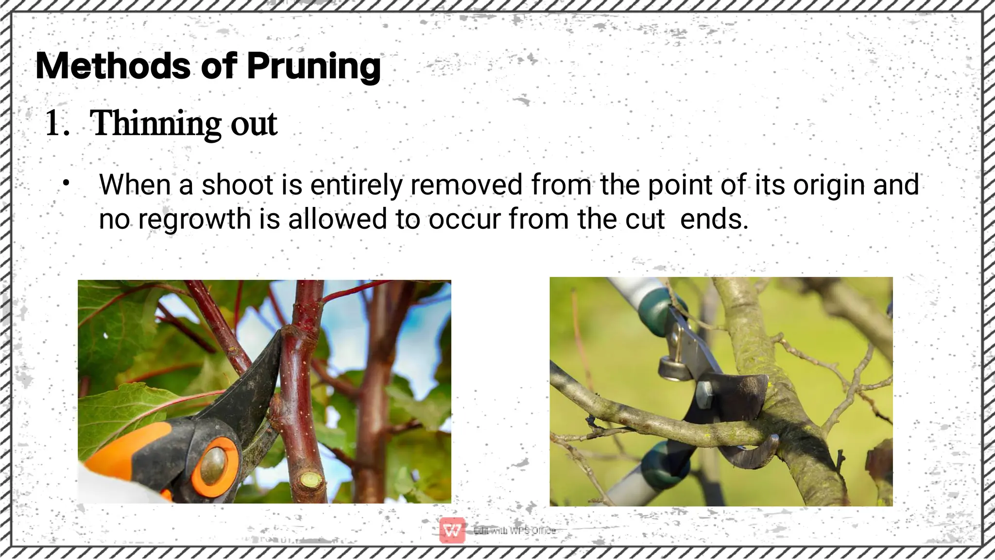 Special Horticultural Practices in fruit crops.pdf