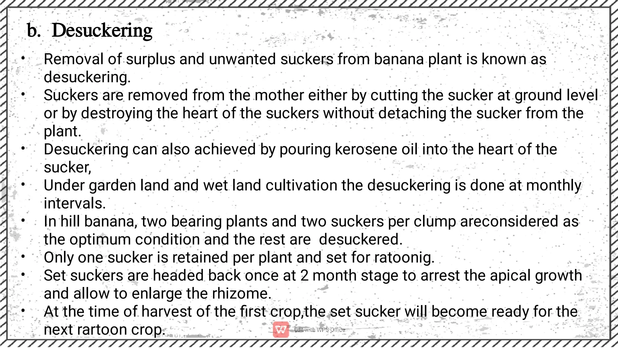 Special Horticultural Practices in fruit crops.pdf